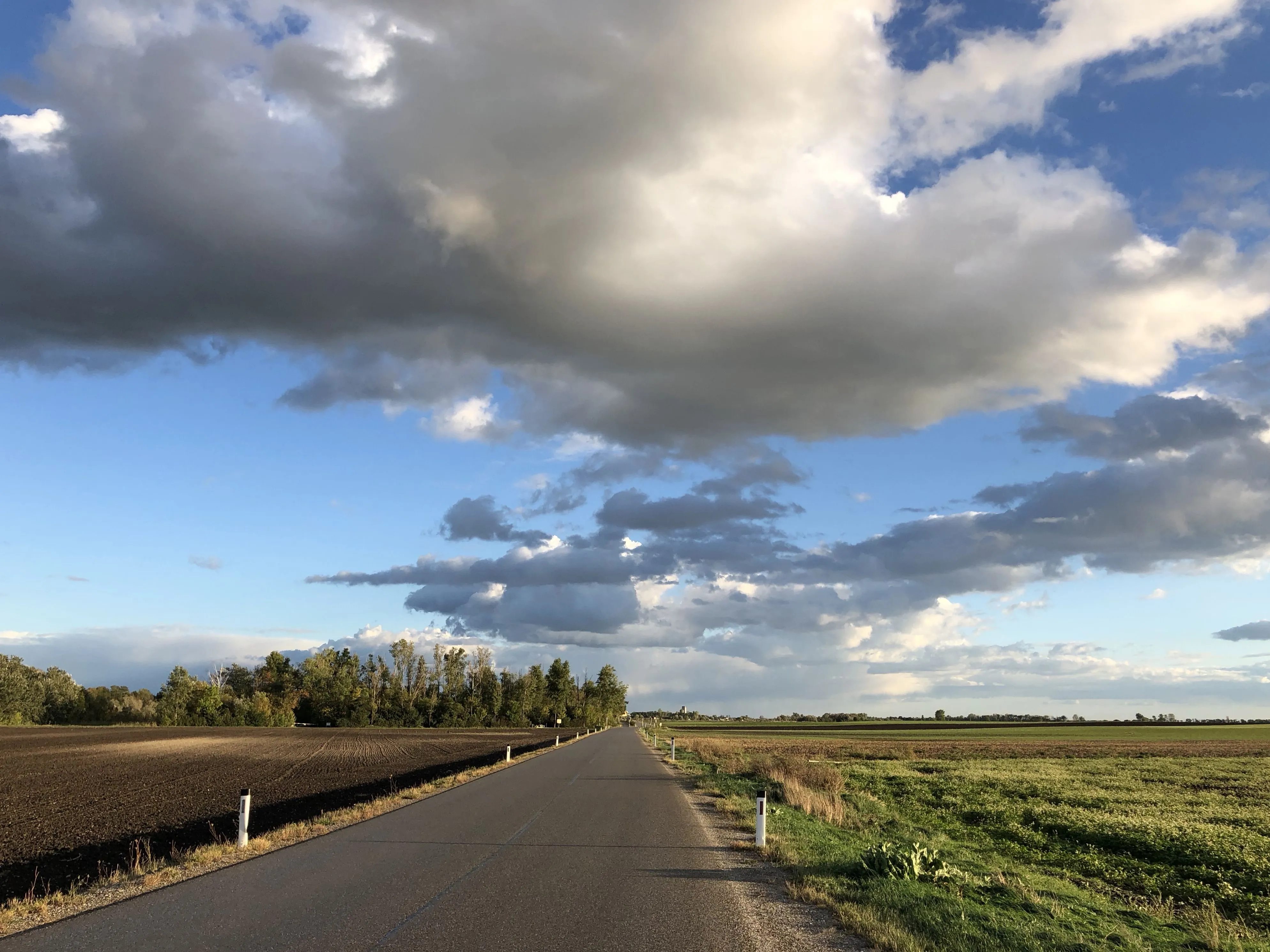 035F92FA-1797-466C-BD1B-671A76599140.jpeg | iPhone Forum